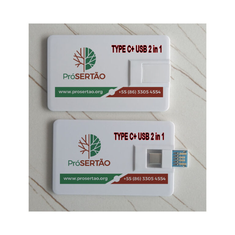 Type C Memory Stick Credit Card USB – Hi-Lam Professional USB sticks ...